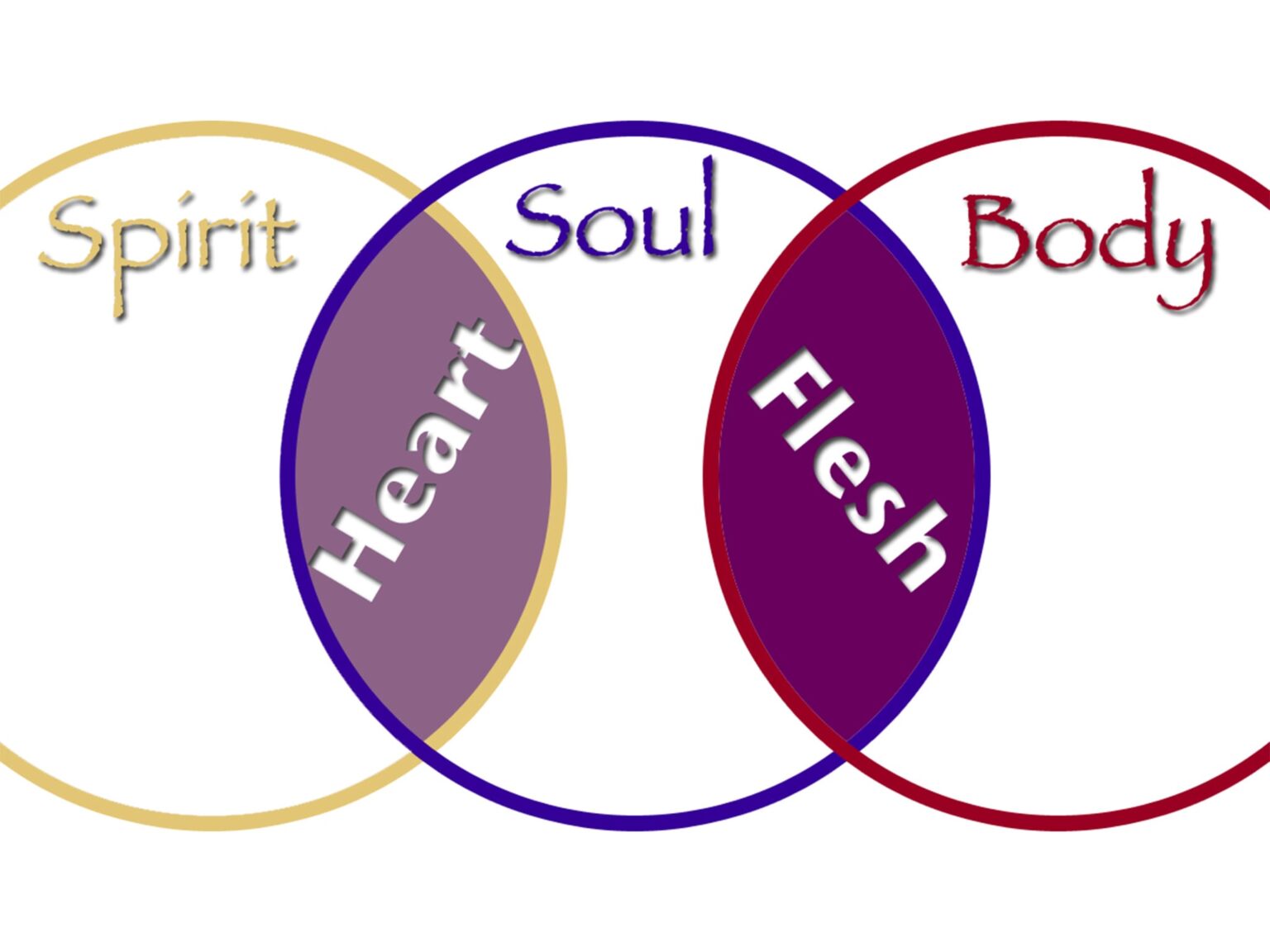 Head Knowledge vs. Heart Knowledge - NewCREEations