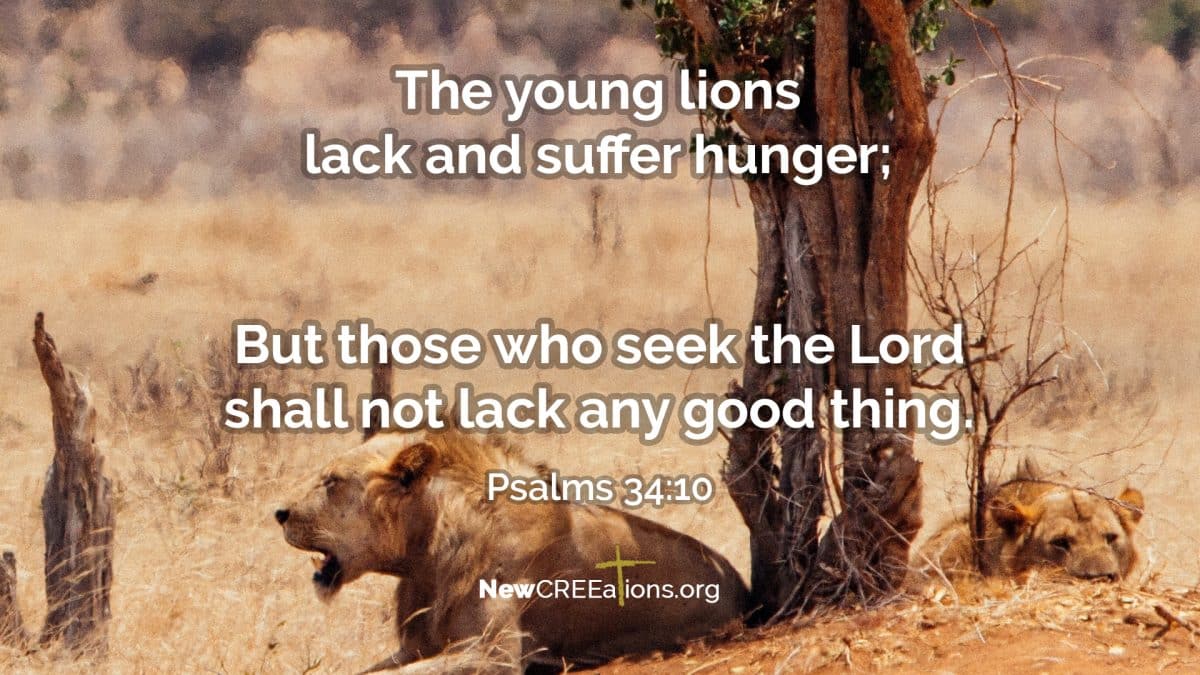 God Provides for His Children - Pslams 34:10 - NewCREEations