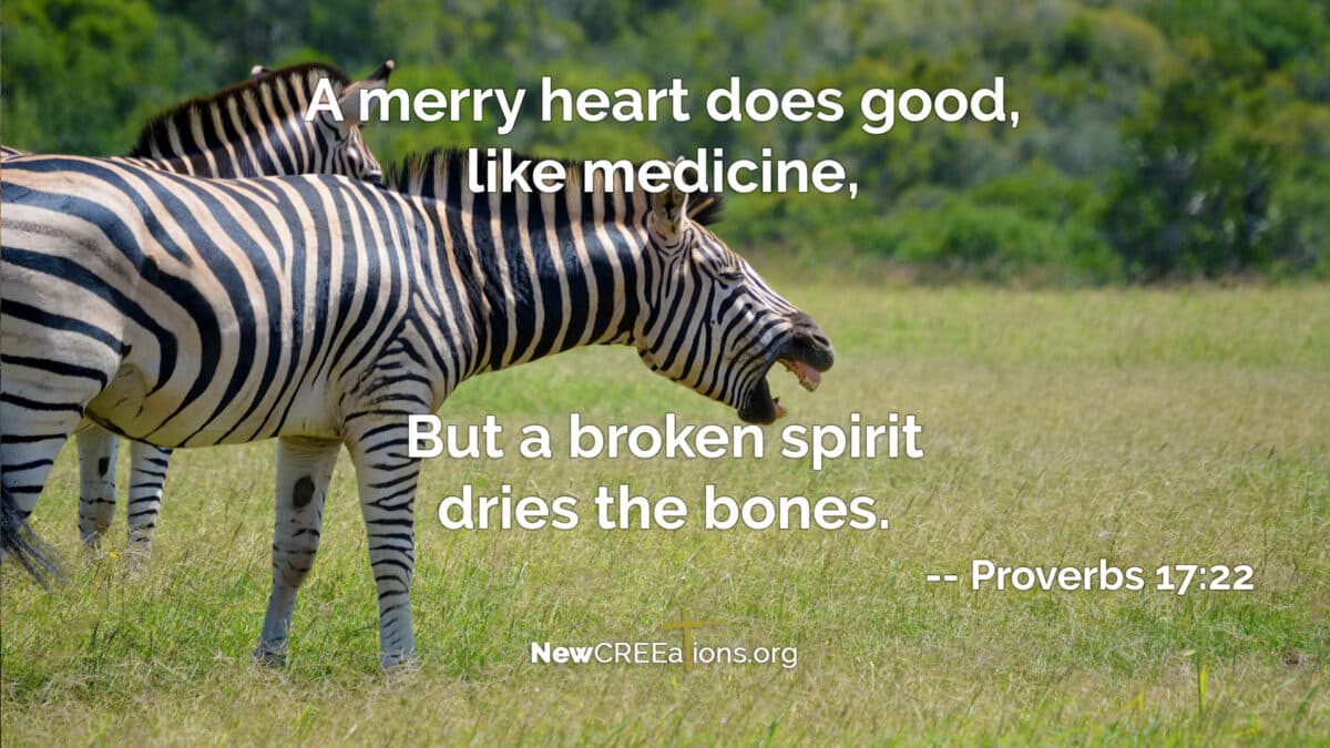 Made for Joy - Proverbs 17:22 - NewCREEations