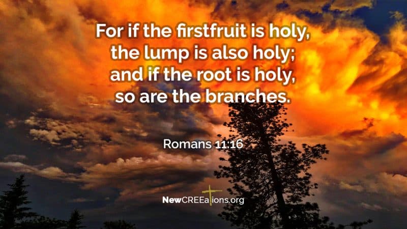 The Gifts and Calling of God Are Irrevocable - Romans 11:29