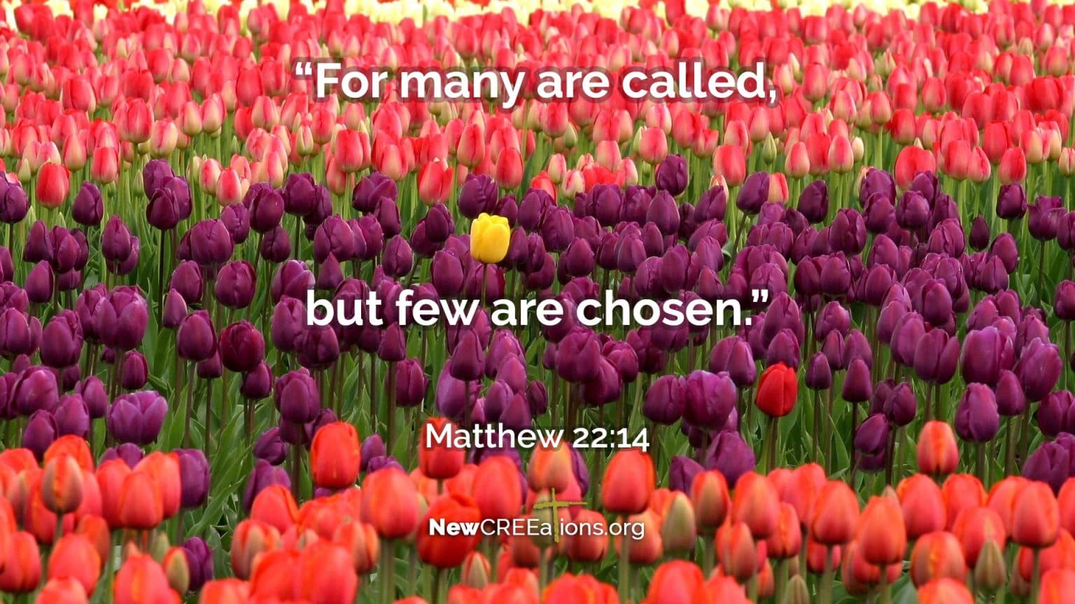 Many Called, Few Chosen - Matthew 22:14 - NewCREEations