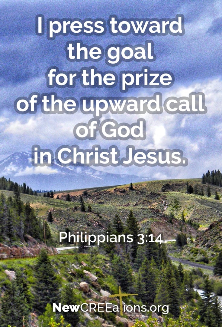 Press Toward the Goal - Philippians 3:14 - NewCREEations