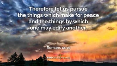 Seek Peace Not Strife - Romans 14:19 - NewCREEations