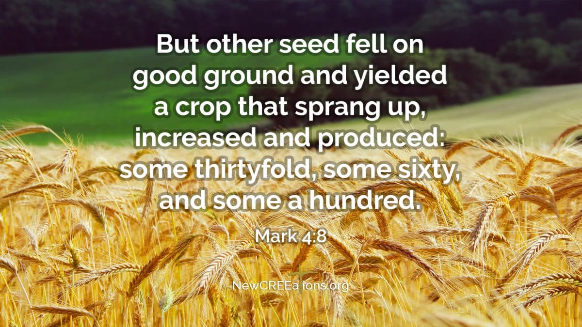 Good Ground Produces a Bountiful Harvest - Mark 4:8 - NewCREEations